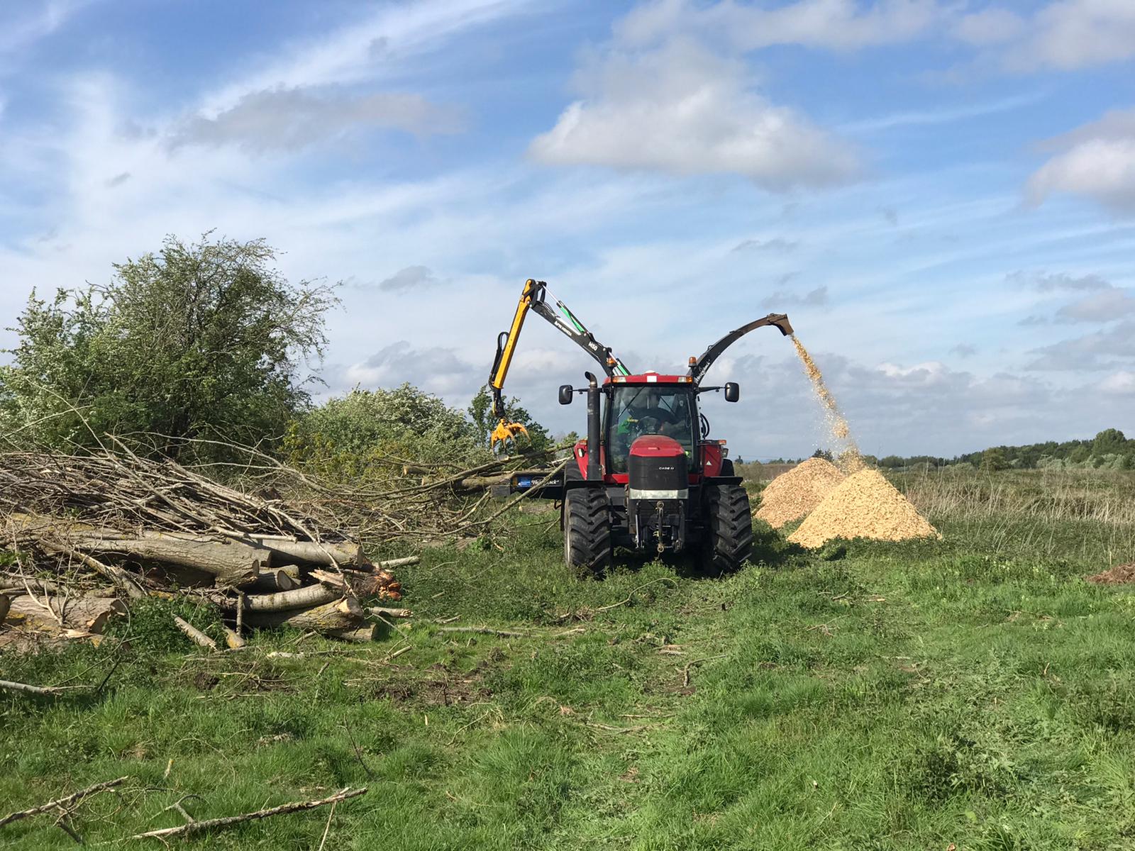 Domestic Tree Services | Tree Surgery & Gardening | The Tree Doctors