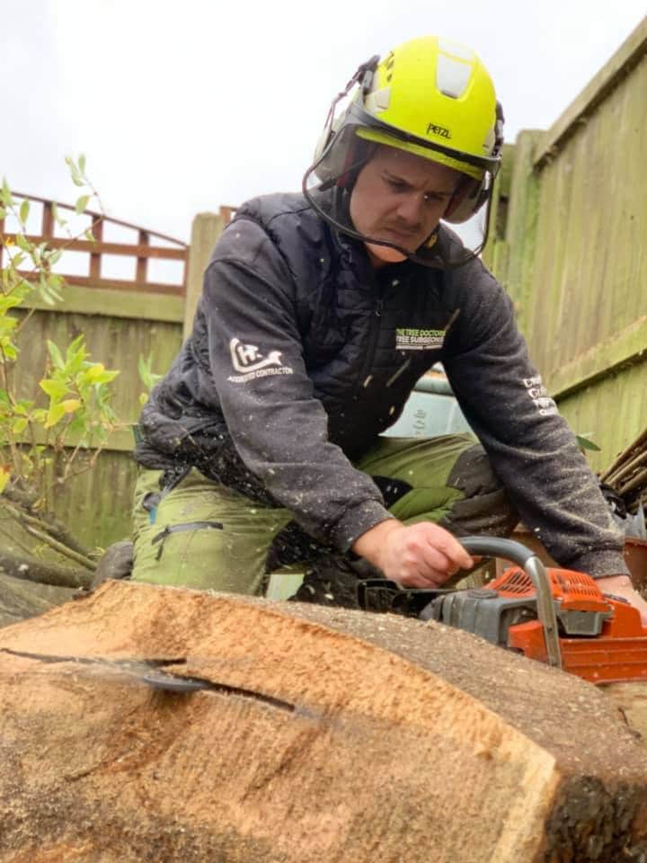 Tree Surgery Gallery | Local Tree Surgeon | The Tree Doctors