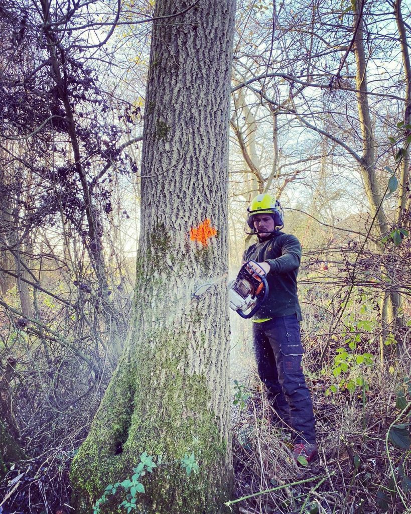 Local Tree Surgeons | The Tree Doctors