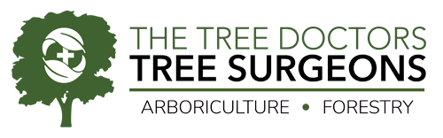 Tree Doctor Logo Medical Tree Logo Vector Art, Icons, And Graphics For