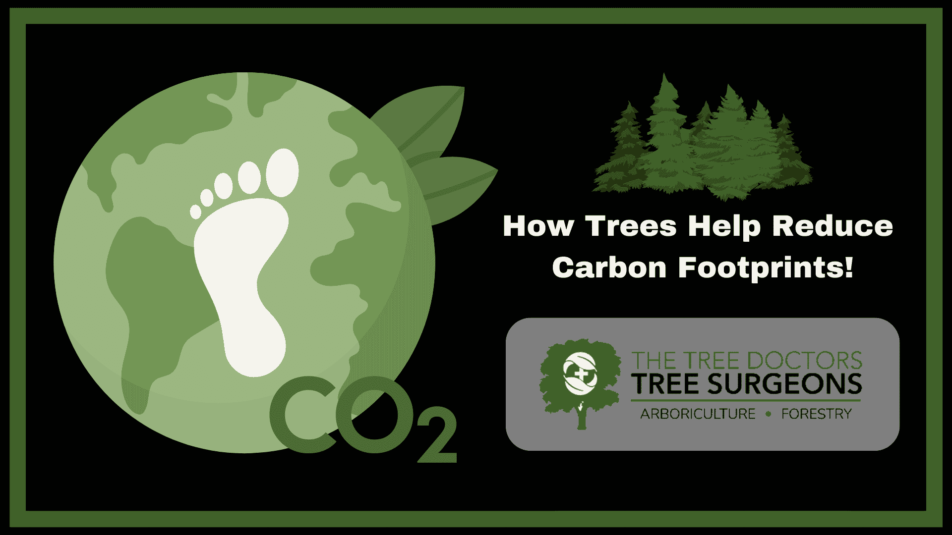 How Trees Help Reduce Carbon Footprints! | The Tree Doctors